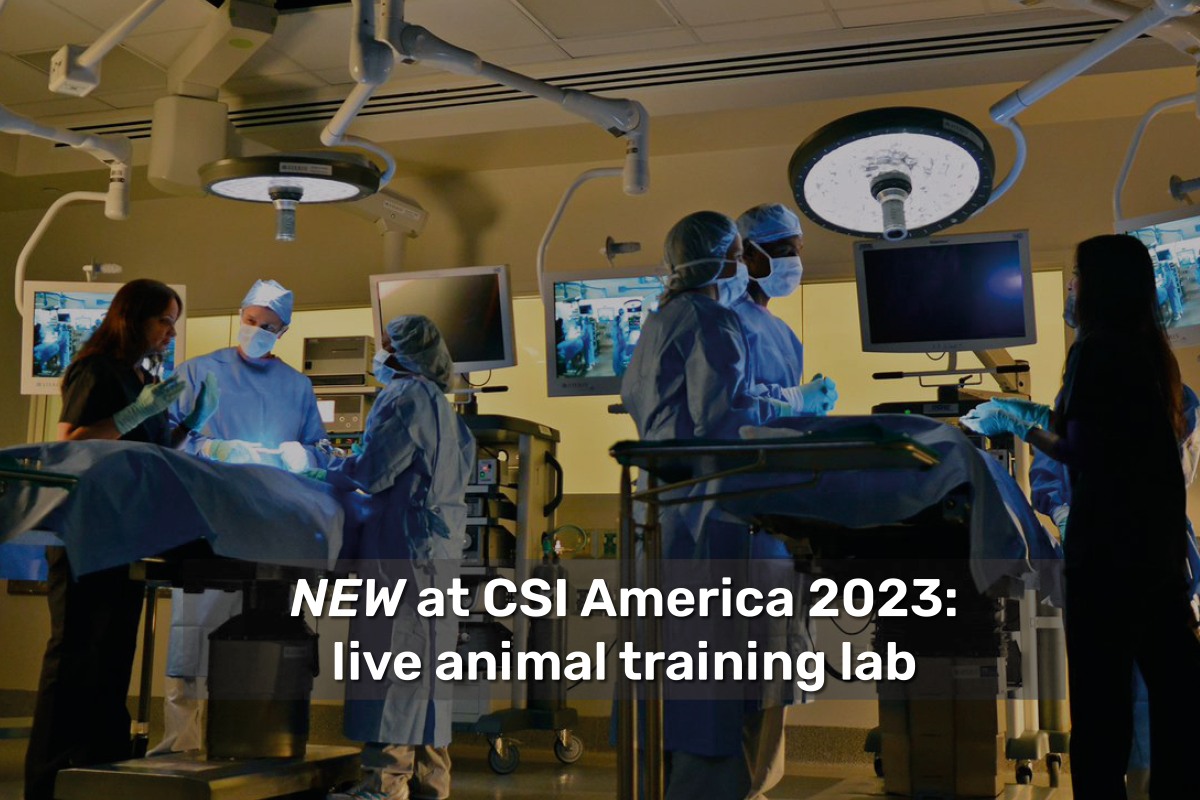 CSI America | CSI Education