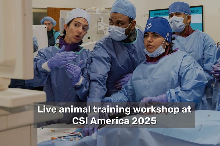 CSI America | CSI Education