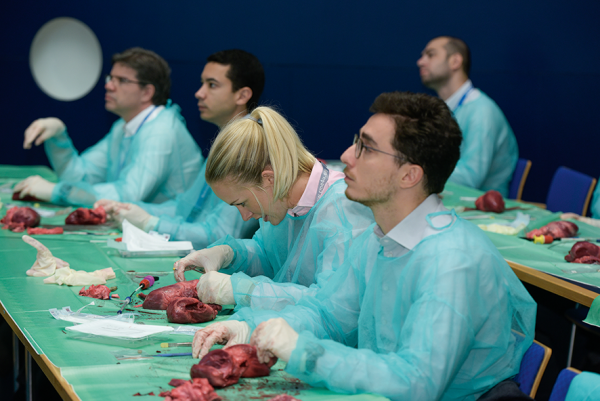 Asia-Pacific | CSI Education