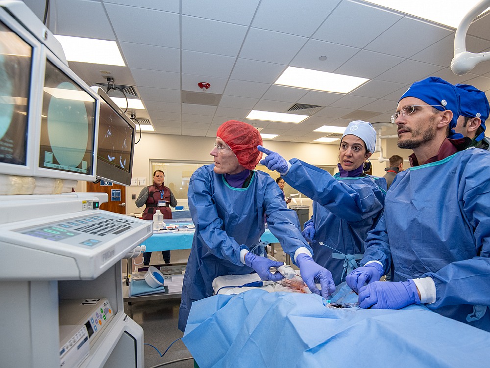 Hands-on workshop | CSI Education